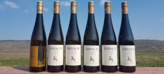 Weingut Hirsch – seit 1878 mit Eigensinn